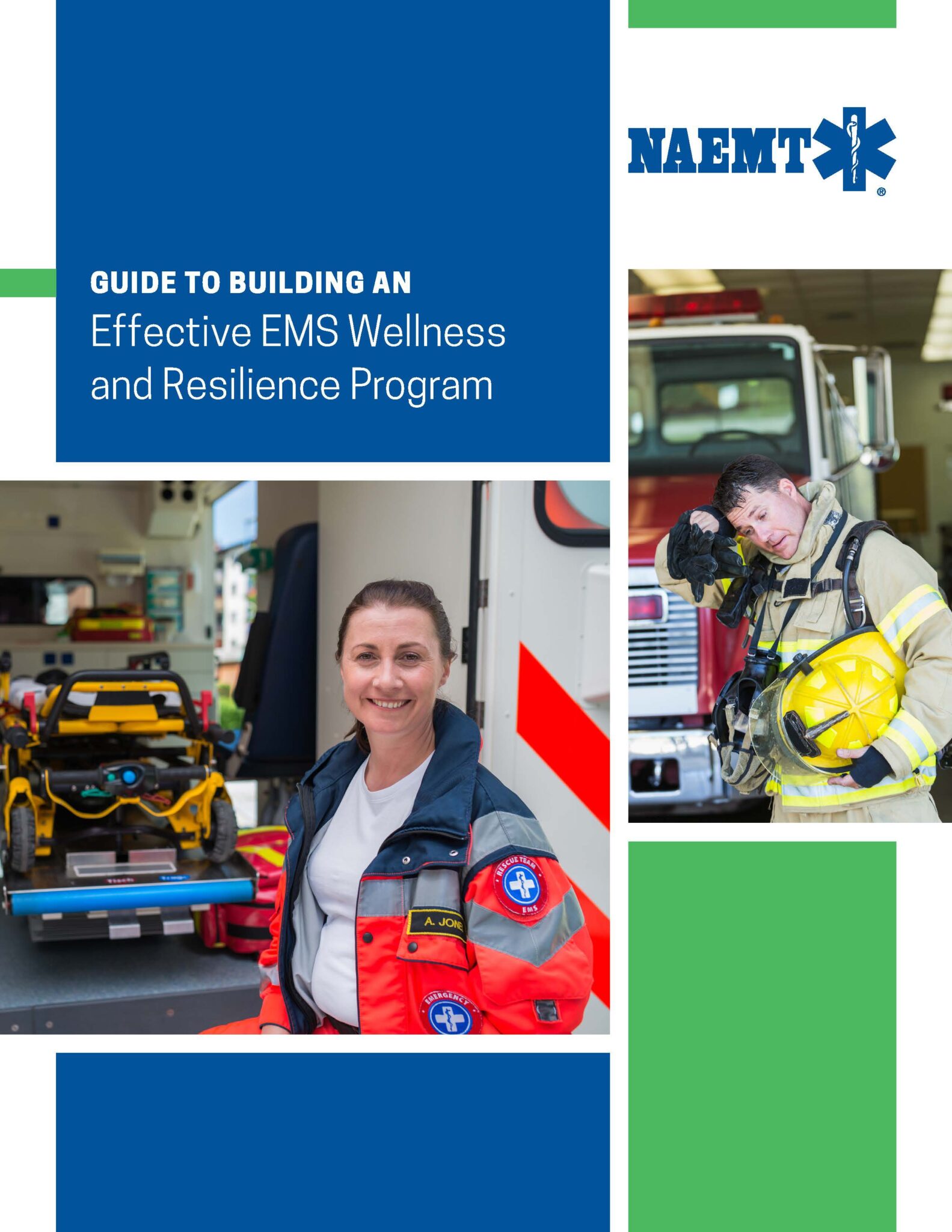 Guide to Building an Effective EMS Wellness and Resilience Program ...